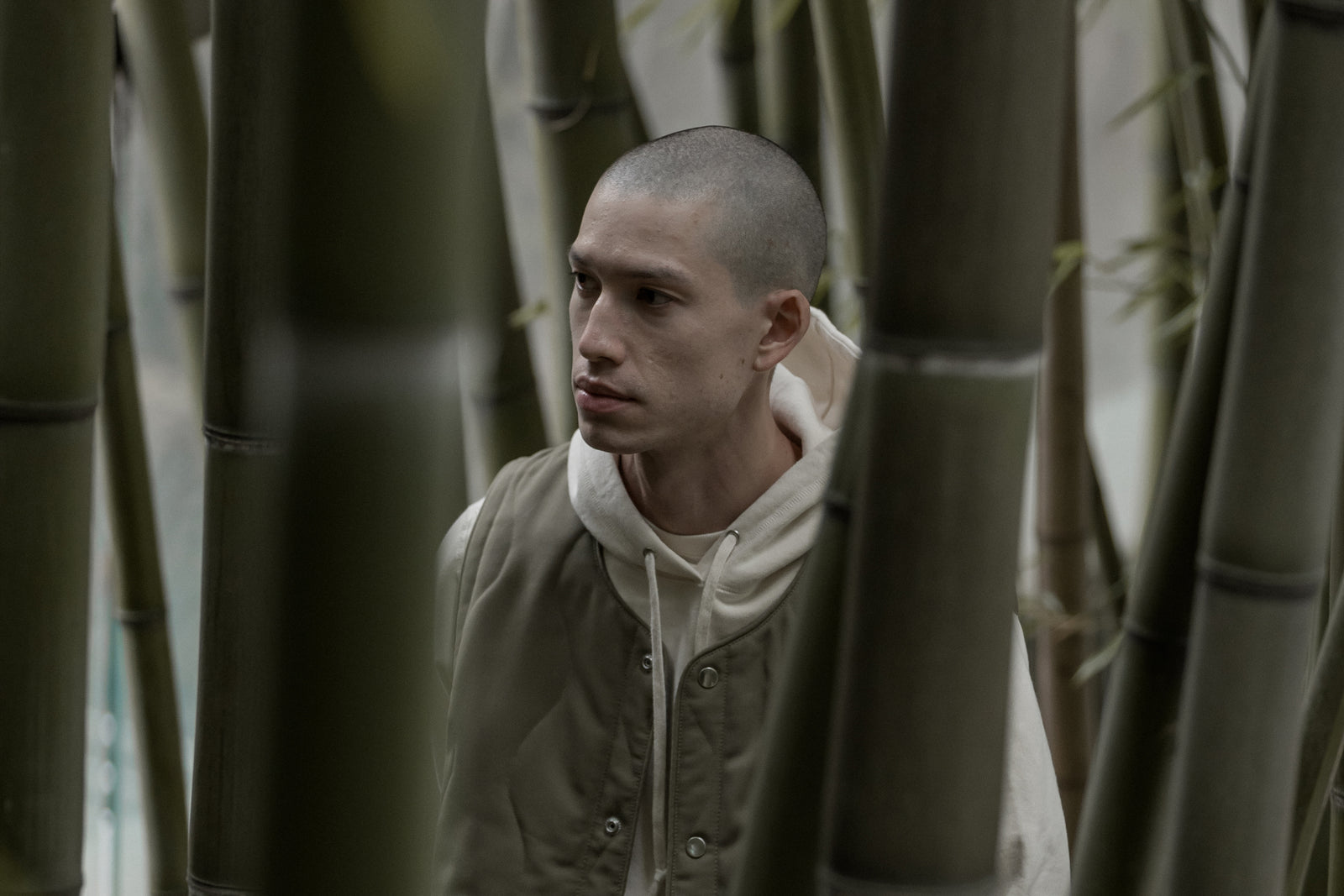 ecologyst - Premium natural clothing made in North America