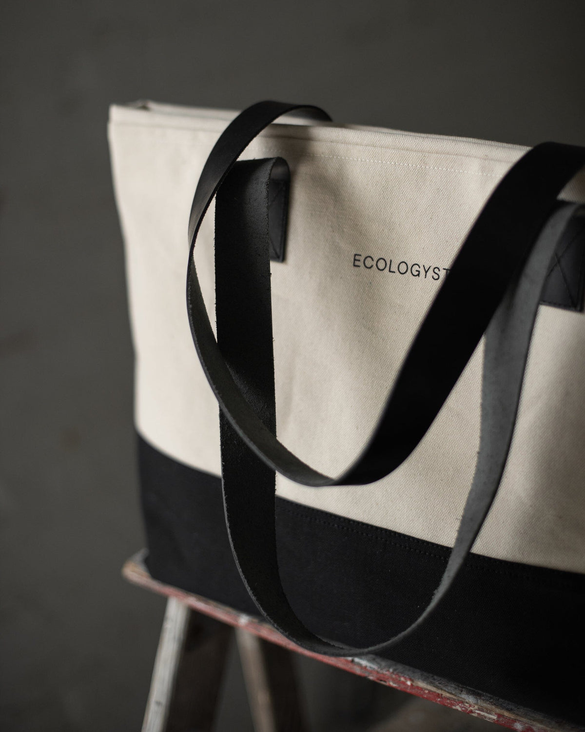 The Ecologyst Tote