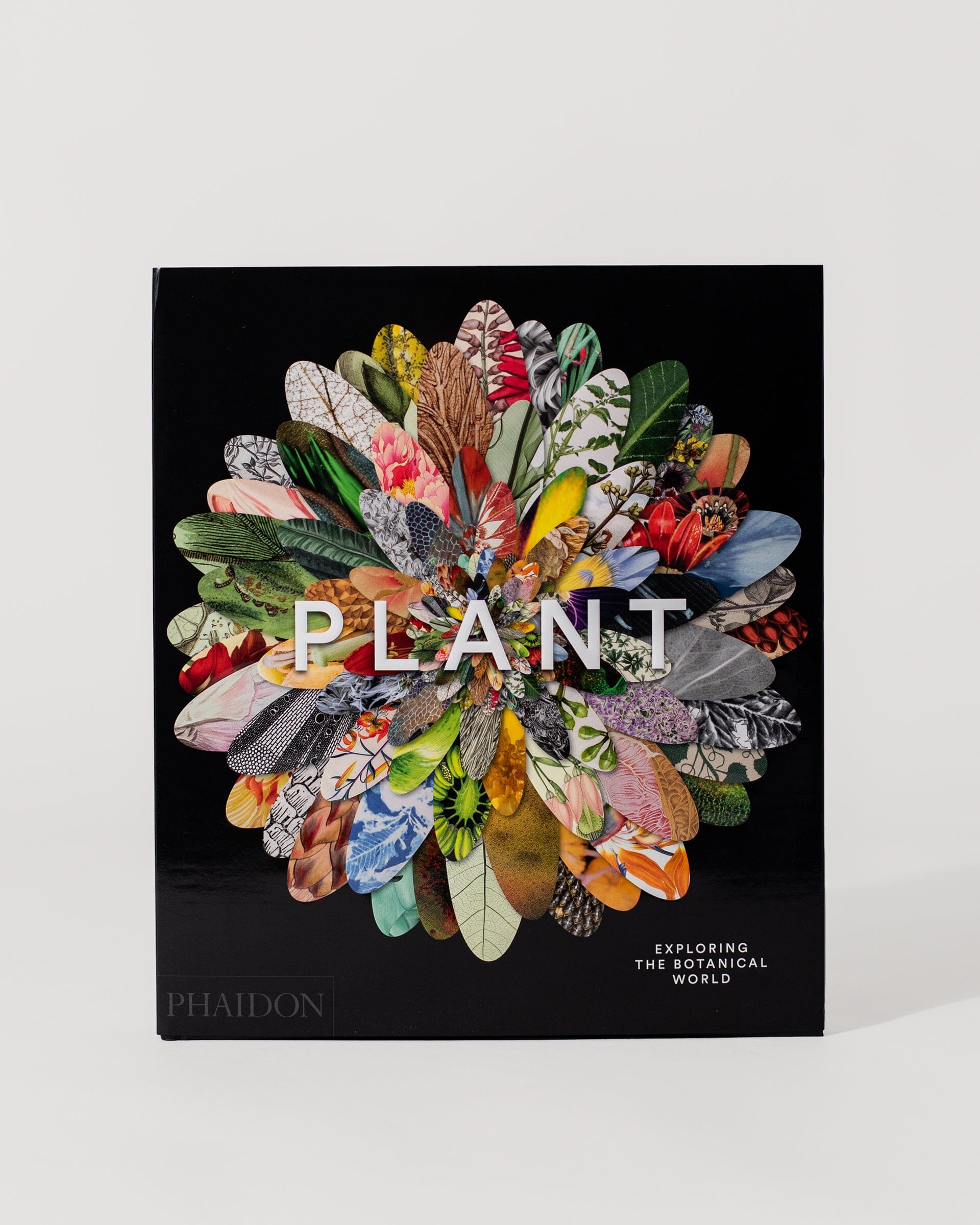 Plant: Exploring the Botanical World
